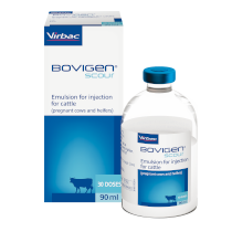 Τα προϊόντα μας